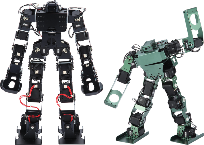 ROBO-LIFE