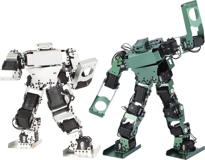 ROBO-LIFE